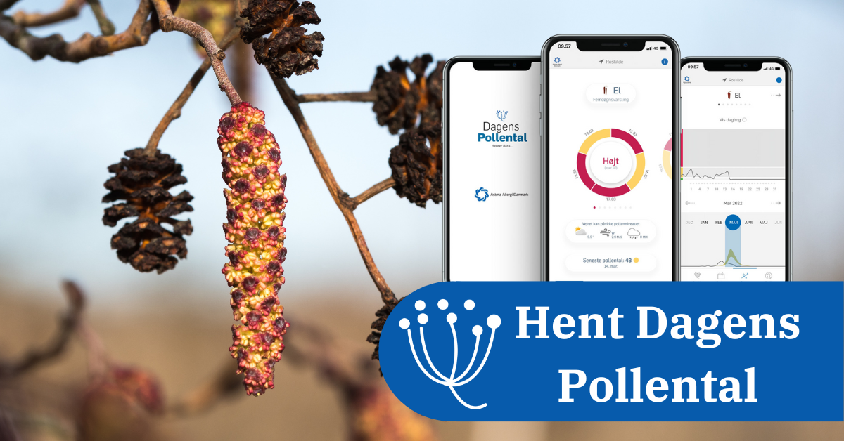 Dagens Pollental app - Astma-Allergi Danmark